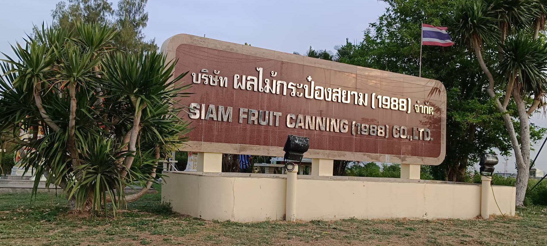 About Us - sifcothai